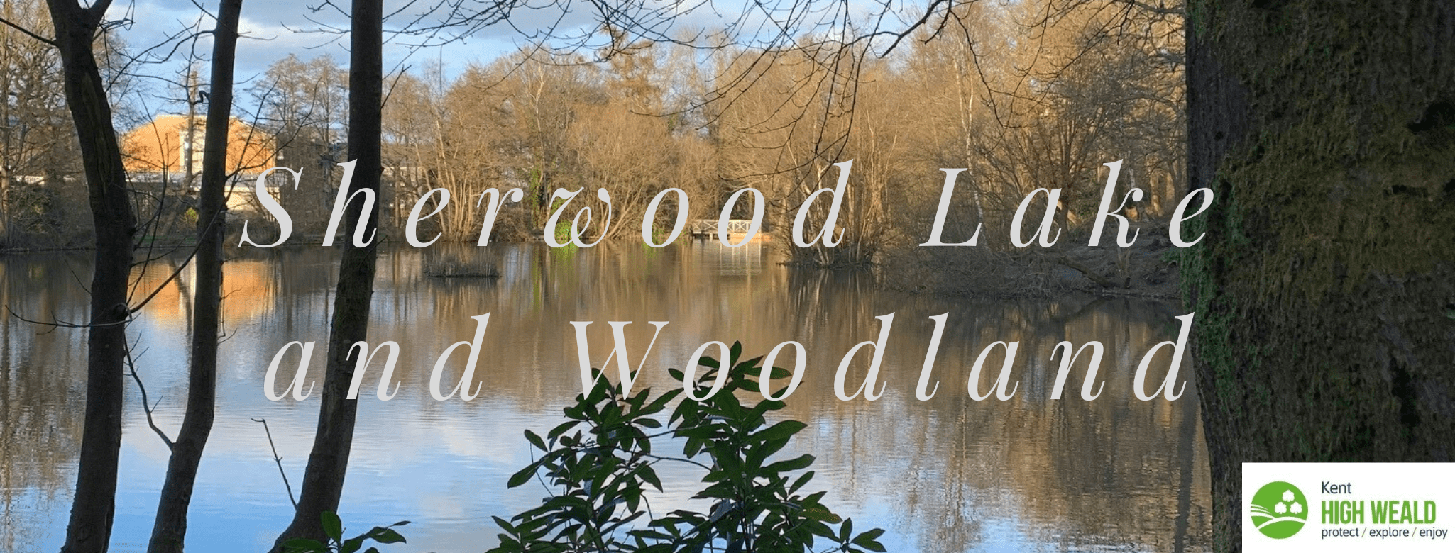 Sherwood Lake & Woodland - Kent High Weald